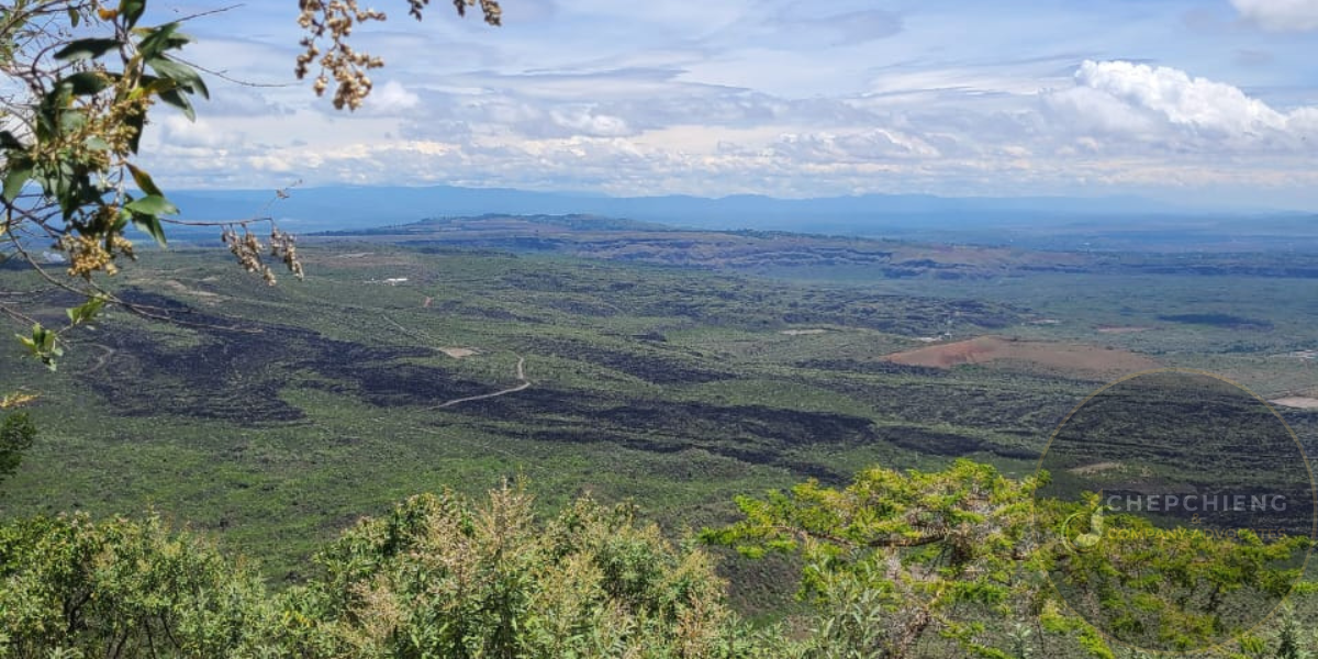 Everything About Menengai Crater Nakuru Kenya, Hike, Photos