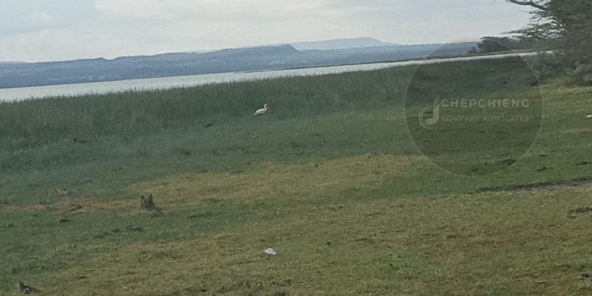 LAKE ELEMENTAITA, THE SLEEPING WARRIOR AND UGALI HILLS