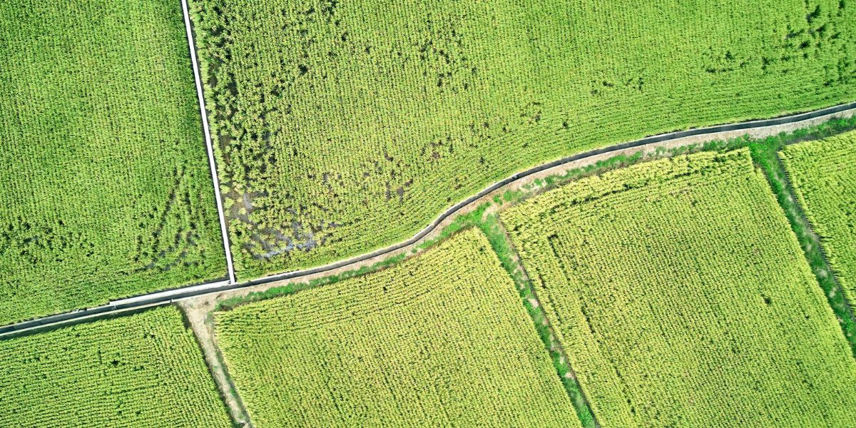 A Simple Guide To The Process Of Land Subdivision In Kenya