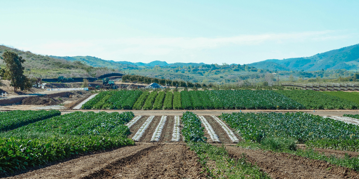 The Process Of Change Of Use In Kenya-Step By Step Guide